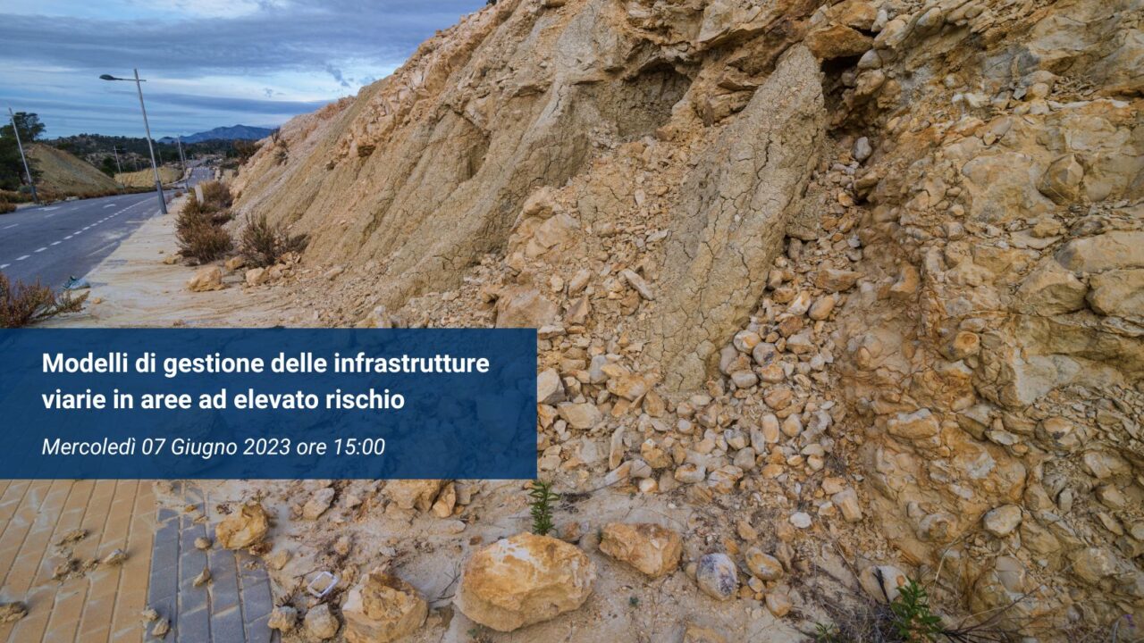 Modelli di gestione delle infrastrutture viarie in aree ad elevato ...